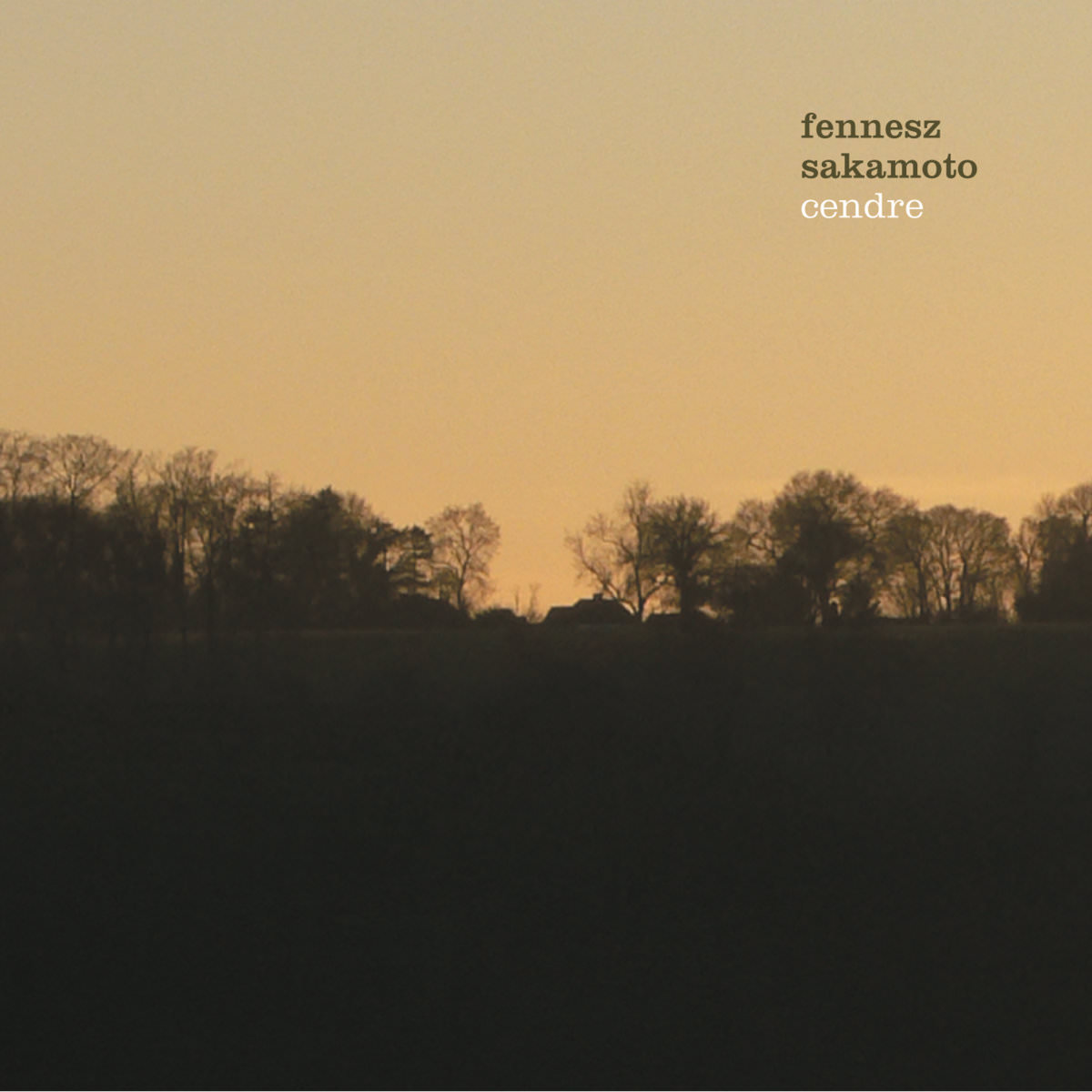 Christian Fennesz, Ryuichi Sakamoto – Cendre – Soundohm