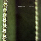 Ellen Fullman – Staggered Stasis – Soundohm