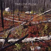 Timeless Pulse Trio – Trio – Soundohm