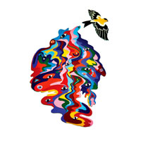 Acid Birds – Acid Birds II – Soundohm