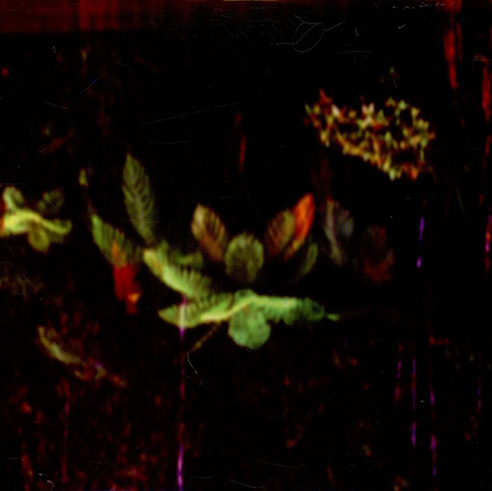 Menstruation Sisters – Puppet Island (2LP) – Soundohm