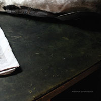 Andrea Polli – Sonic Antarctica – Soundohm