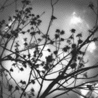 Claudio Rocchetti – Some Songs – Soundohm