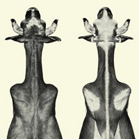 Moin – Moin EP – Soundohm