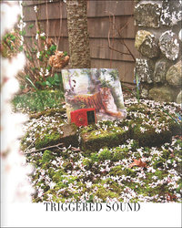 Various – Triggered Sound – Soundohm