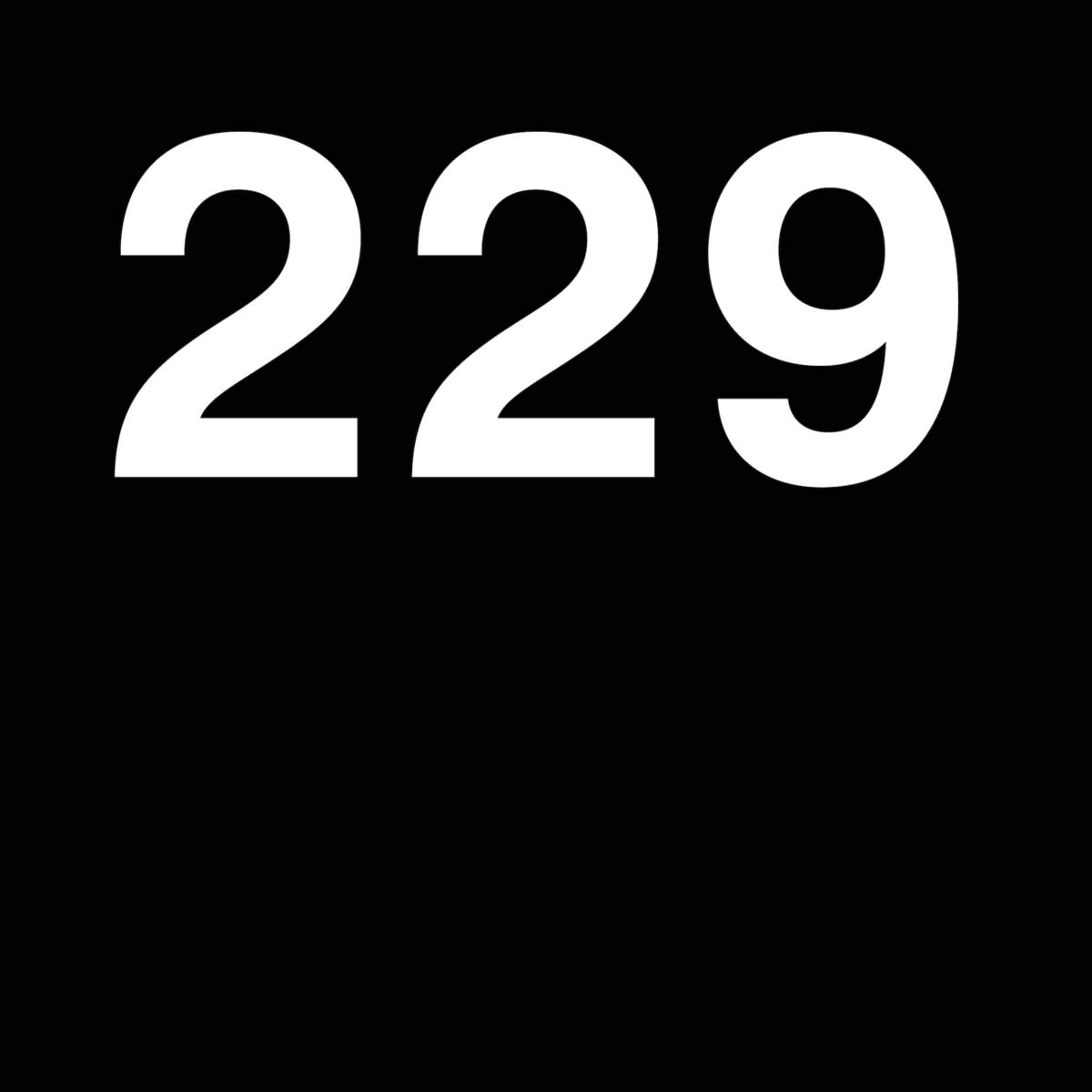 Brian Pyle, Fabio Orsi – The Royal Garden Covered in Ash (LP) – Soundohm