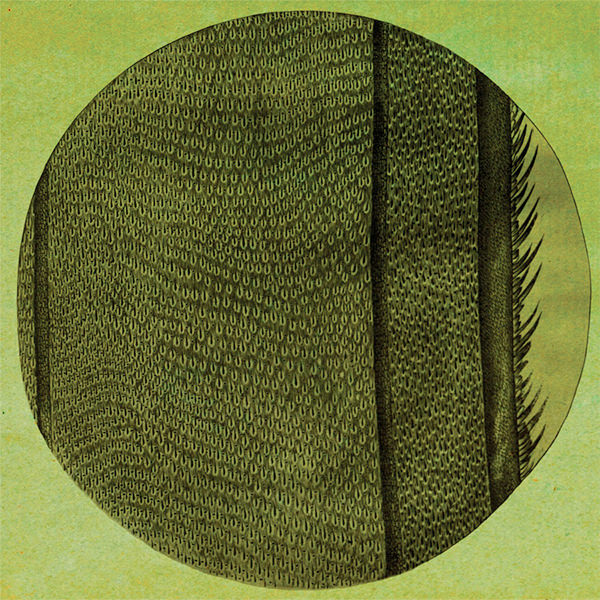 Micah Blue Smaldone – The Ring of the Rise – Soundohm