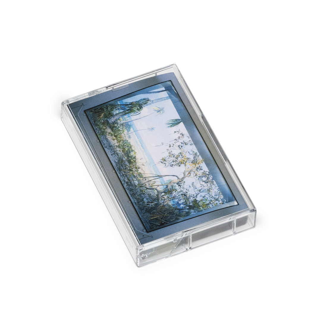 Nikolaienko – Nostalgia Por Mesozóica (Tape) – Soundohm