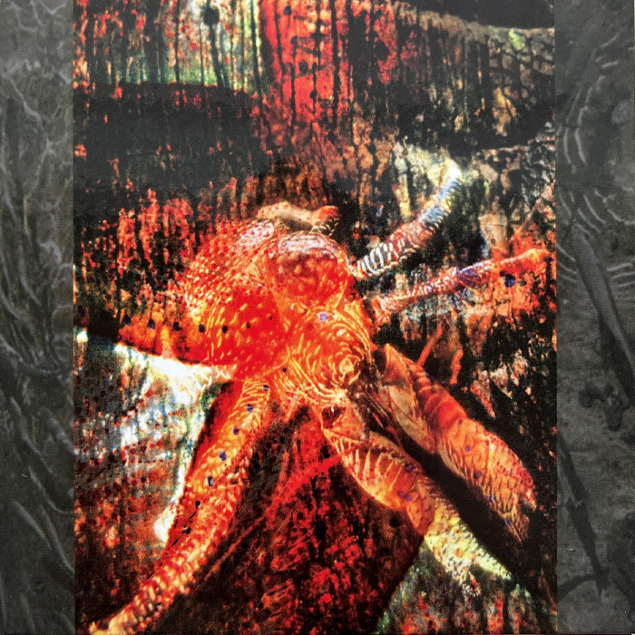 Umpio – Marisko – Soundohm