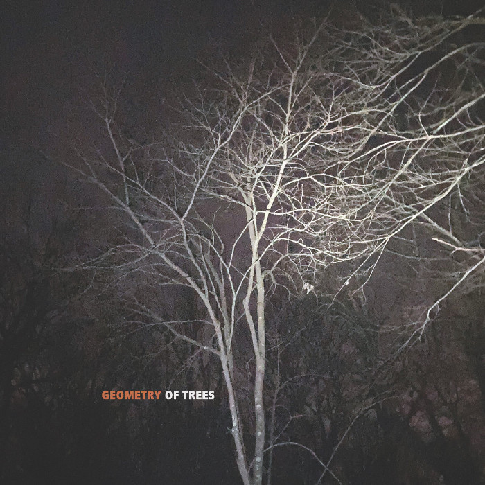 Tomeka Reid, Kyoko Kitamura, Joe Morris, Tayolor Ho Bynum – Geometry Of ...