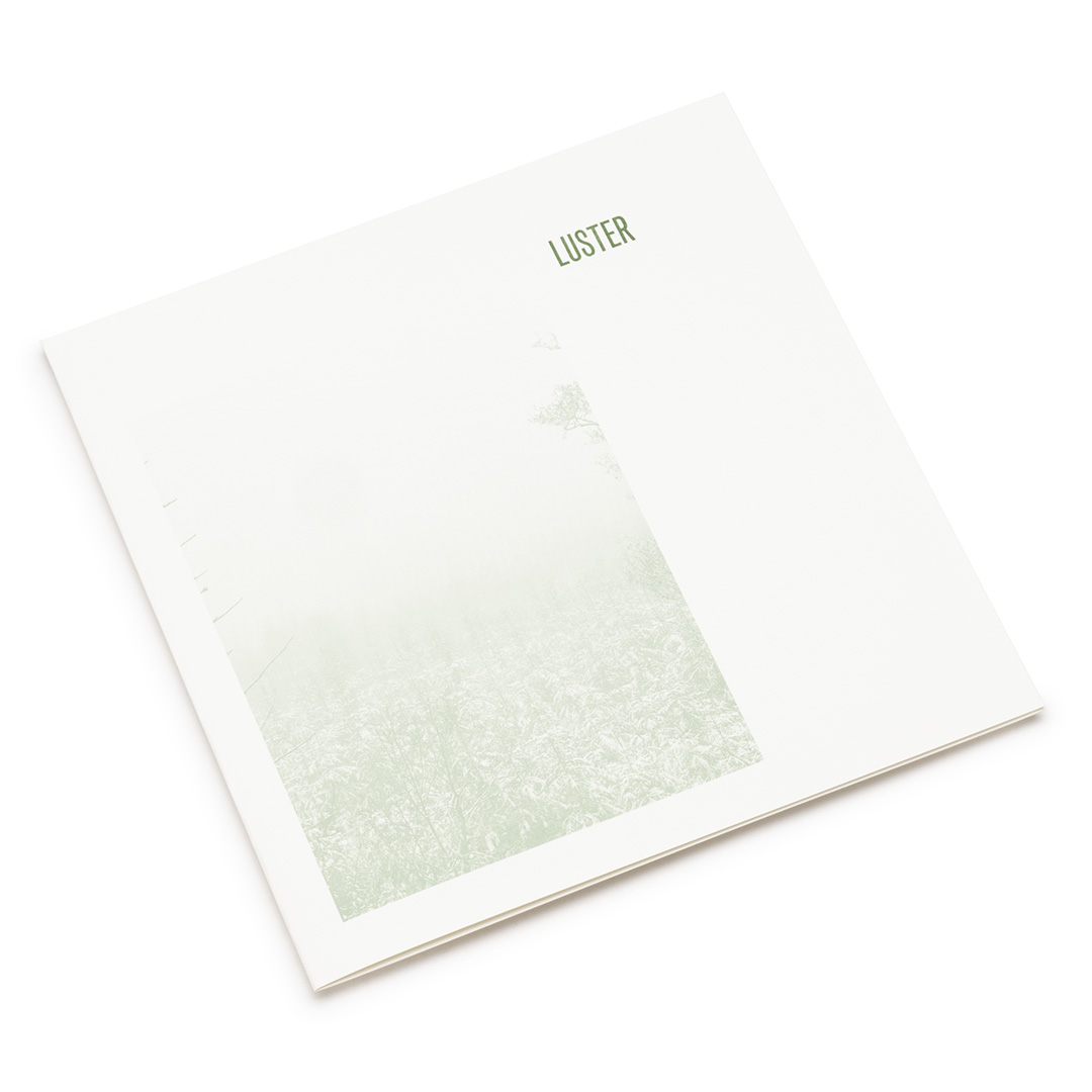 Luster – Luster (LP) – Soundohm