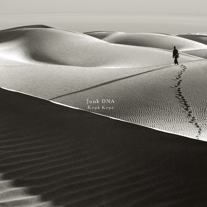 Junk DNA – Kopk Kopa – Soundohm