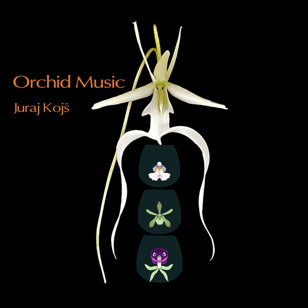 Juraj Kojs – Orchid Music – Soundohm