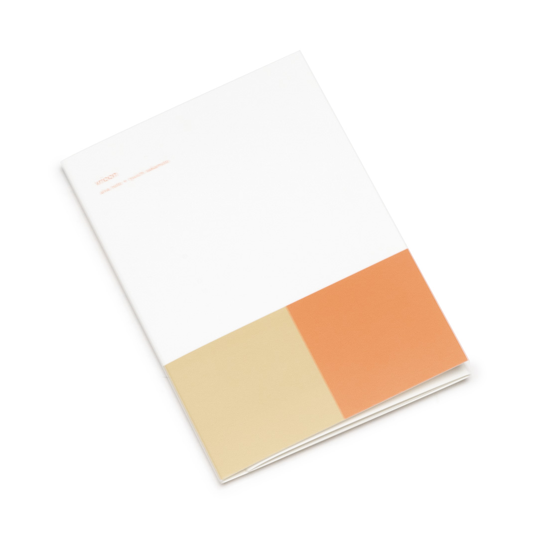 Alva Noto, Ryuichi Sakamoto – Vrioon – Soundohm