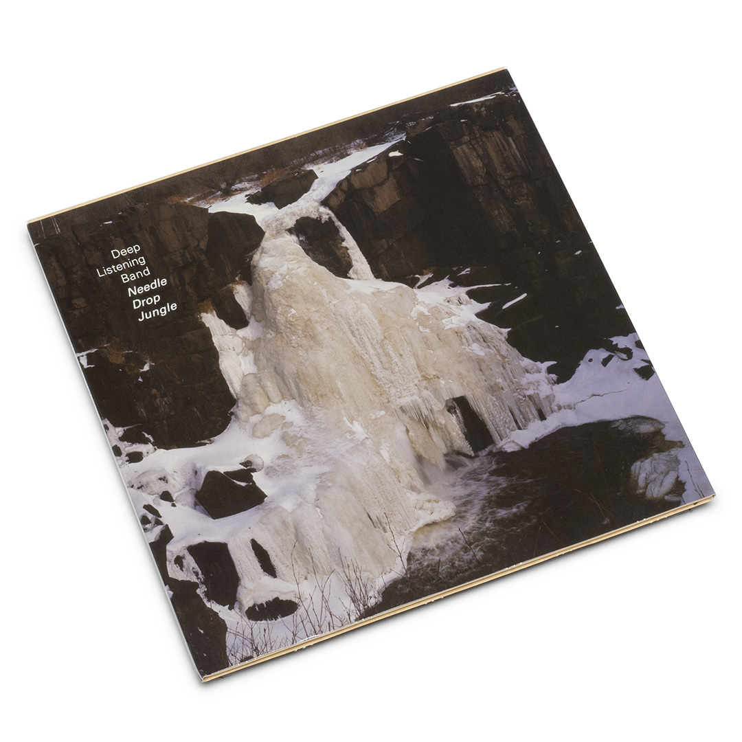 Deep Listening Band – Needle Drop Jungles (2LP) – Soundohm