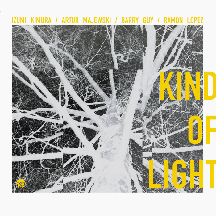 Izumi Kimura, Artur Majewski, Barry Guy, Ramón López – Kind Of Light ...