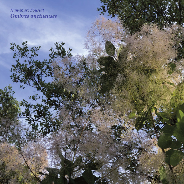 Jean-Marc Foussat – Ombres onctueuses (LP) – Soundohm