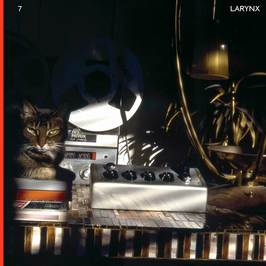 Lary 7 – Larynx (LP) – Soundohm