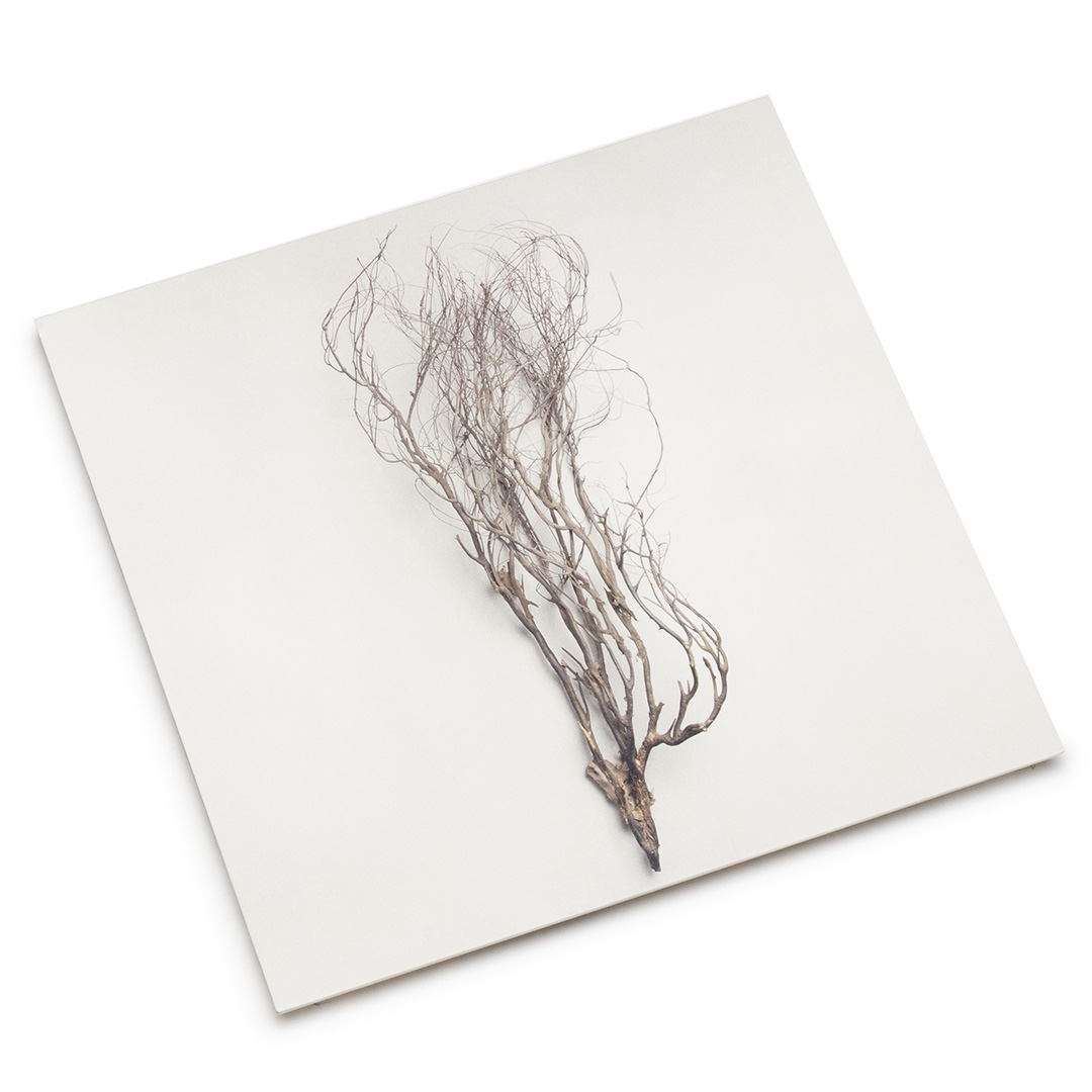 Mary Jane Leach – Woodwind Multiples (LP) – Soundohm