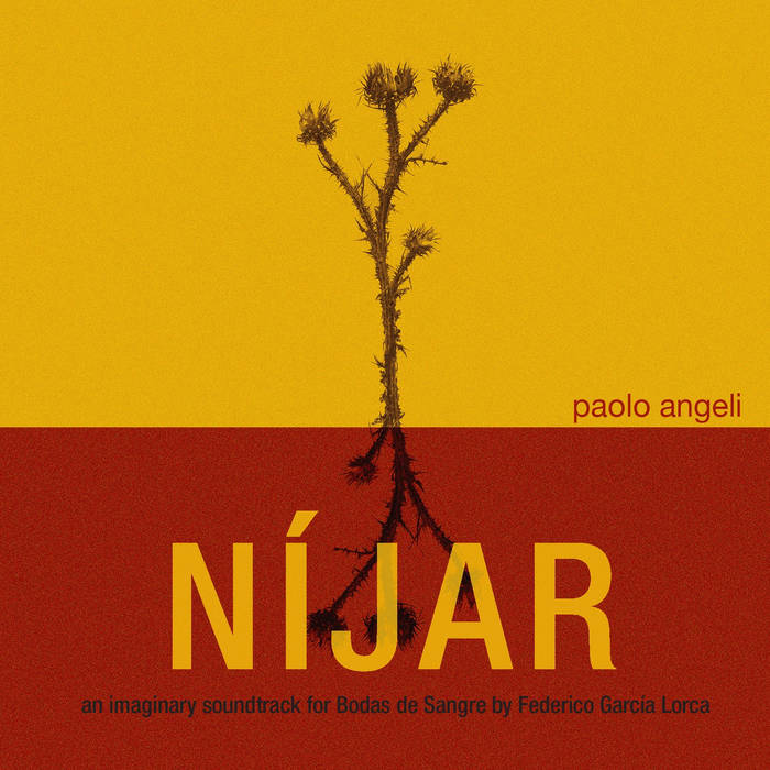 Paolo Angeli – N í jar (LP) – Soundohm