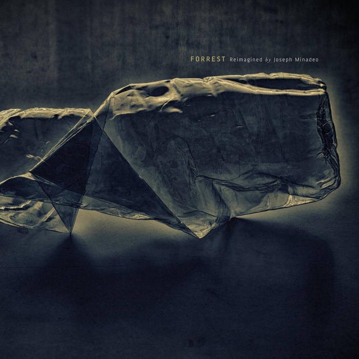 Forrest – Reimagined by Joseph Minadeo (LP) – Soundohm