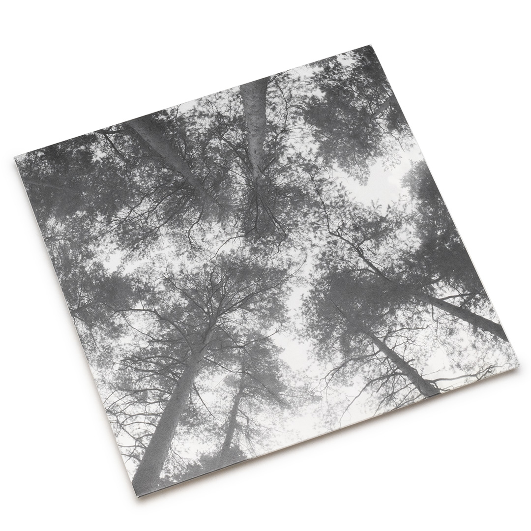 Cassandra Miller Traveller Song Thanksong Lp Soundohm