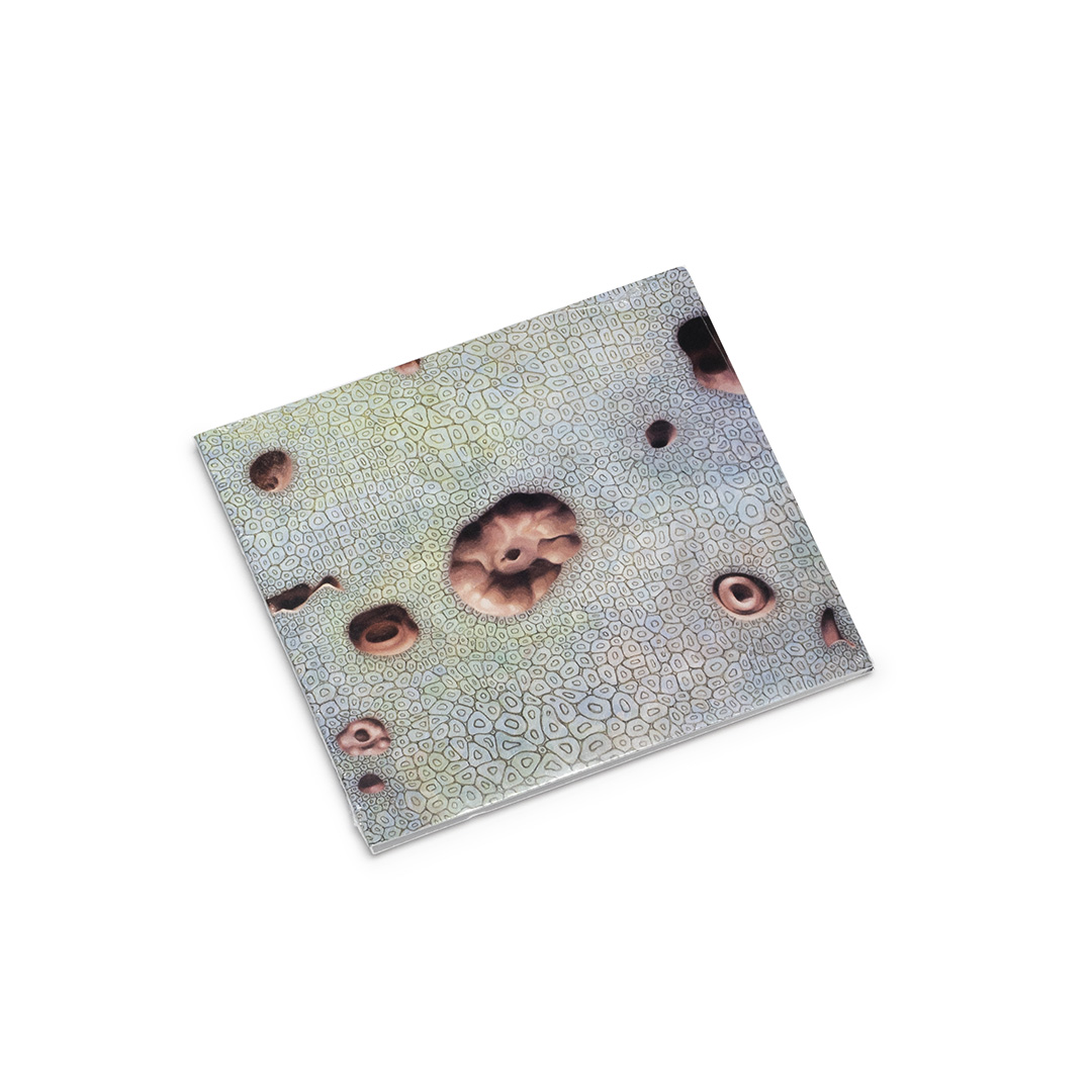 David Lee Myers, Toshimaru Nakamura – Elements – Soundohm