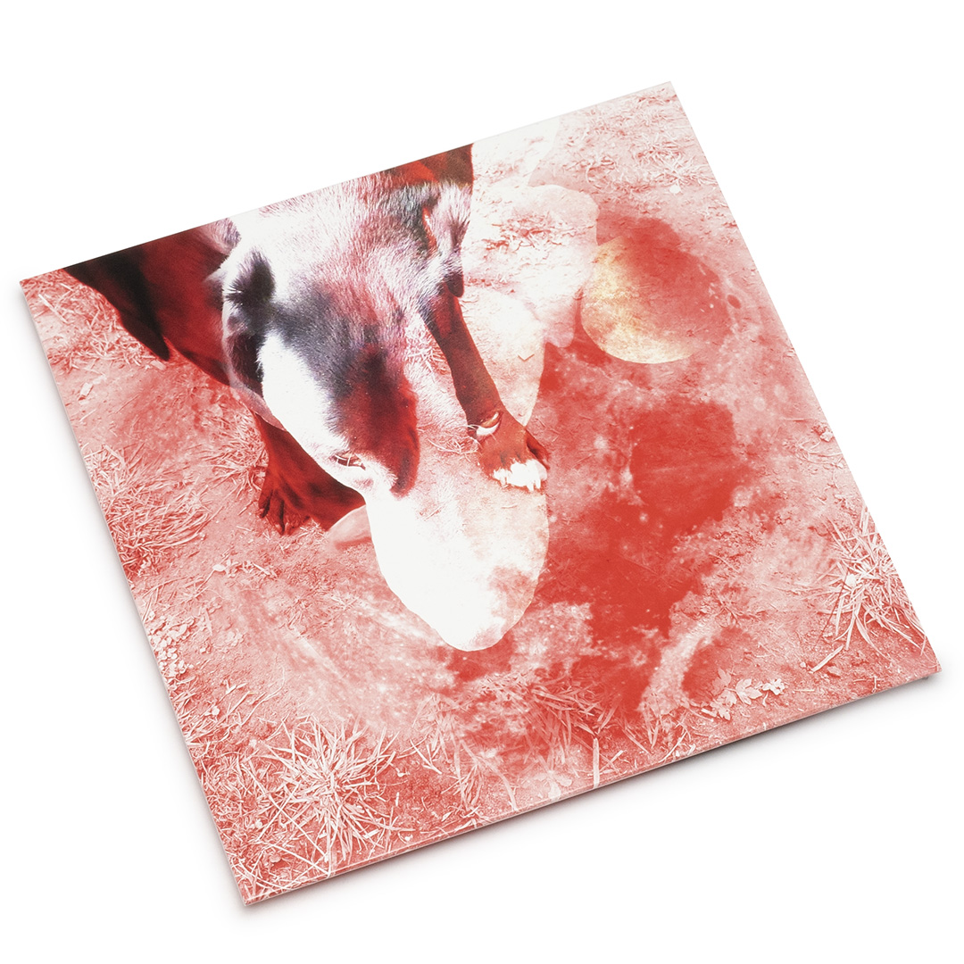 Ann Eysermans – Moonlight Shadoh (LP) – Soundohm