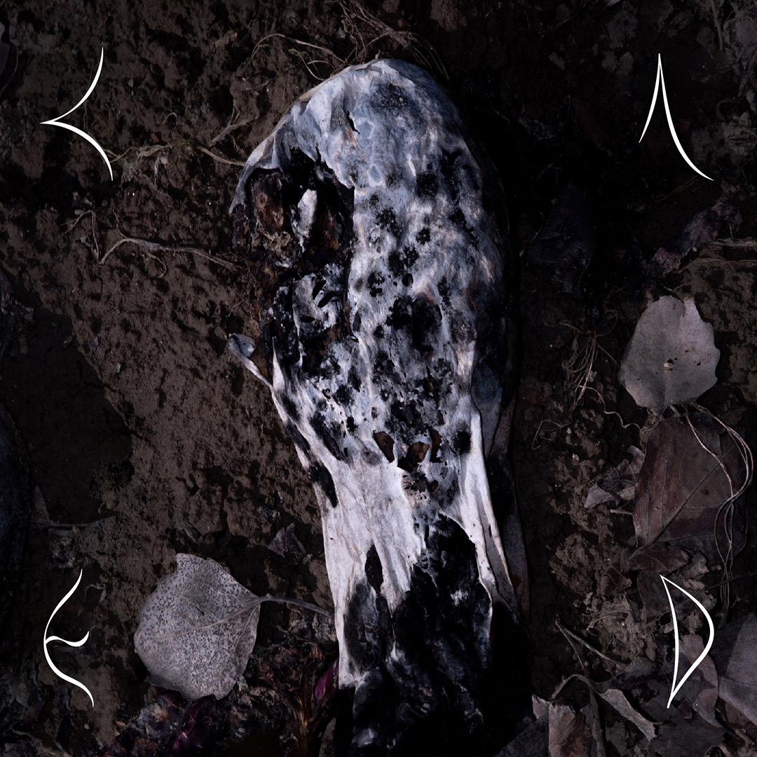 Cade – Cade – Soundohm