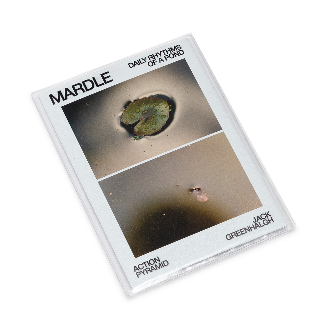 Action Pyramid, Jack Greenhalgh – Mardle: Daily Rhythms of a Pond ...