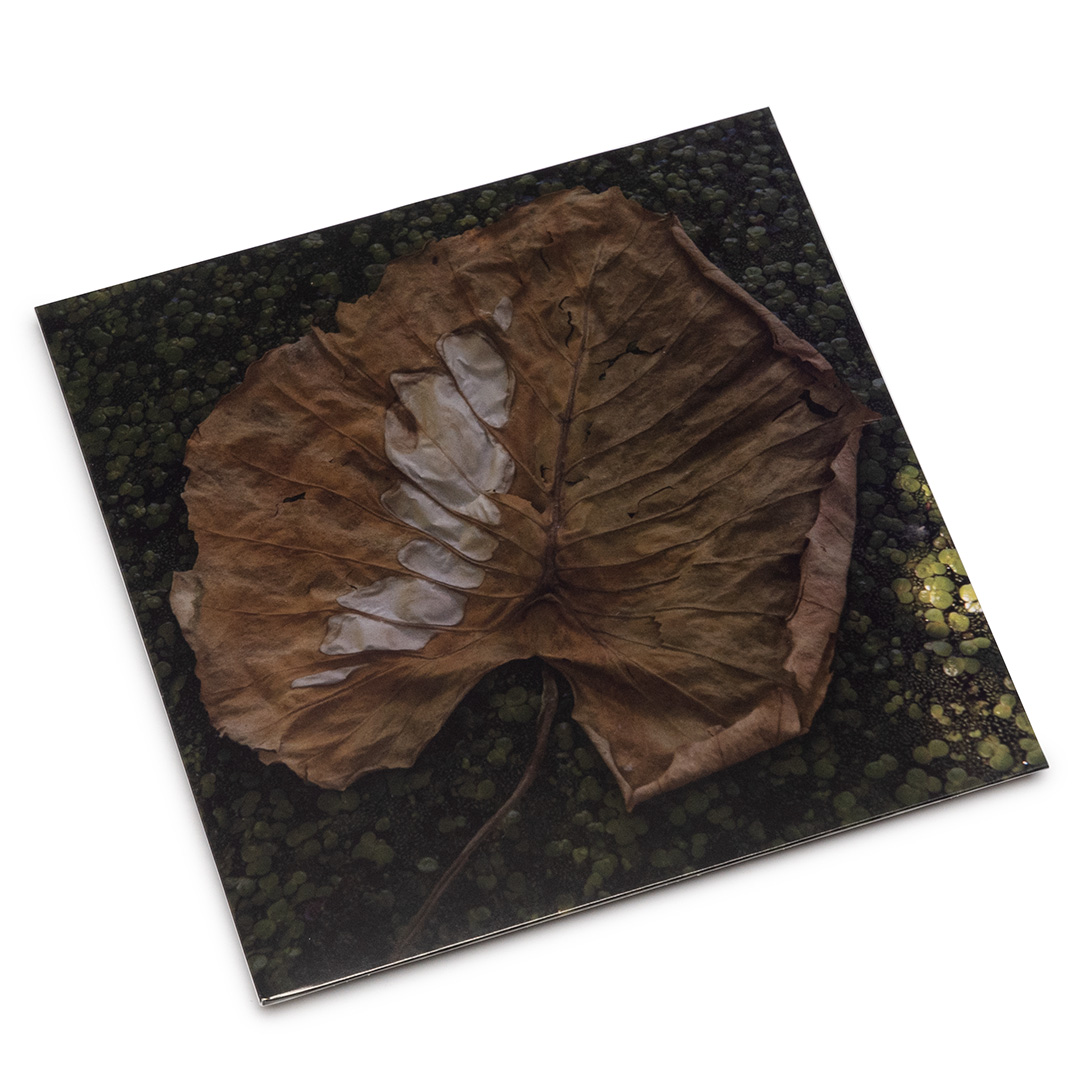 Adela Mede – Ne Lépj a Virágra (LP) – Soundohm