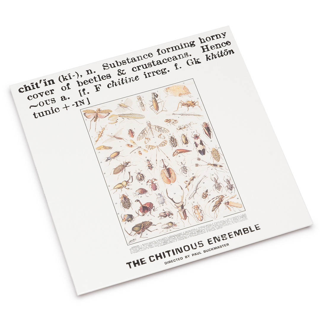 The Chitinous Ensemble – Chitinous (LP) – Soundohm