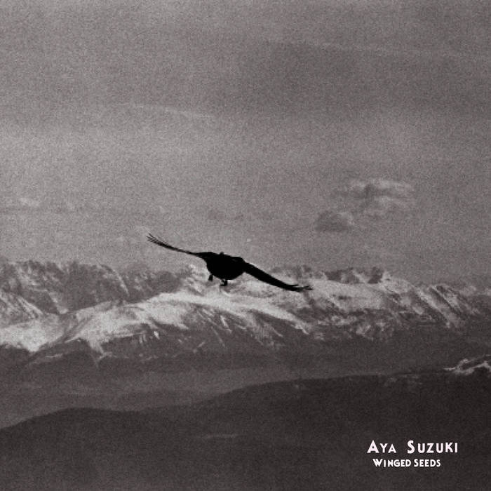 Aya Suzuki – Winged Seeds – Soundohm