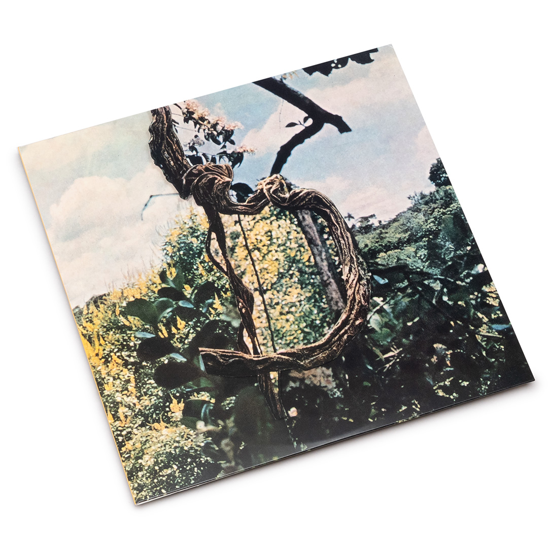 Celer, Forest Management – Landmarks (LP) – Soundohm