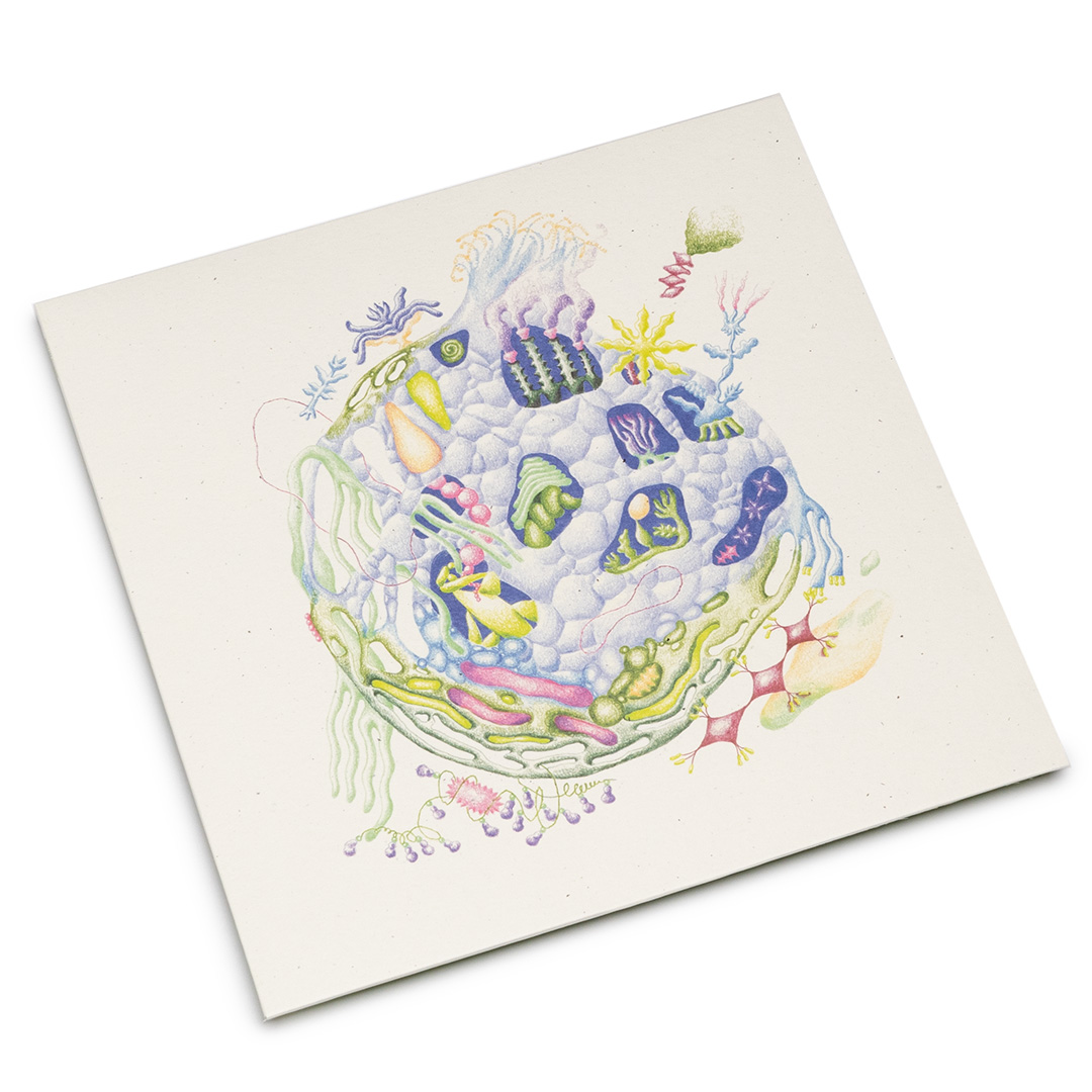 David Edren – Binnenin (LP) – Soundohm