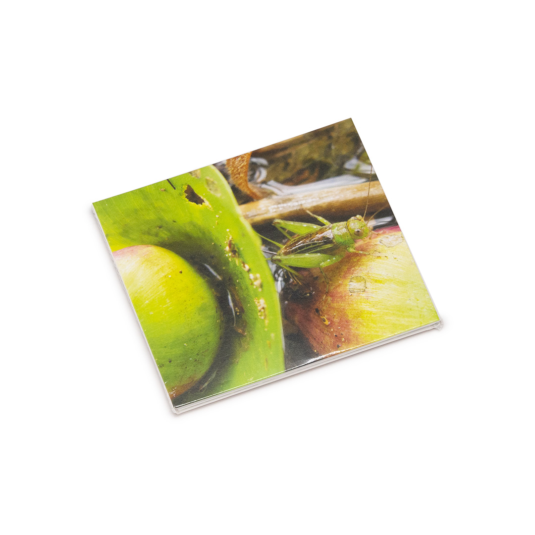 Various Artists – Harkening Critters (3CD) – Soundohm