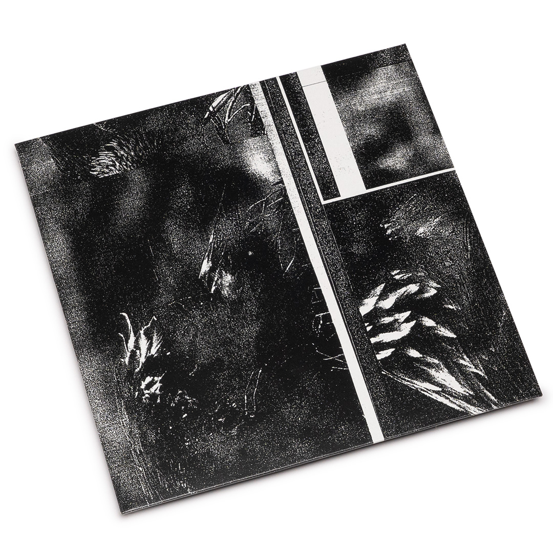 Mario De Vega – Amphibiaibomma (LP) – Soundohm