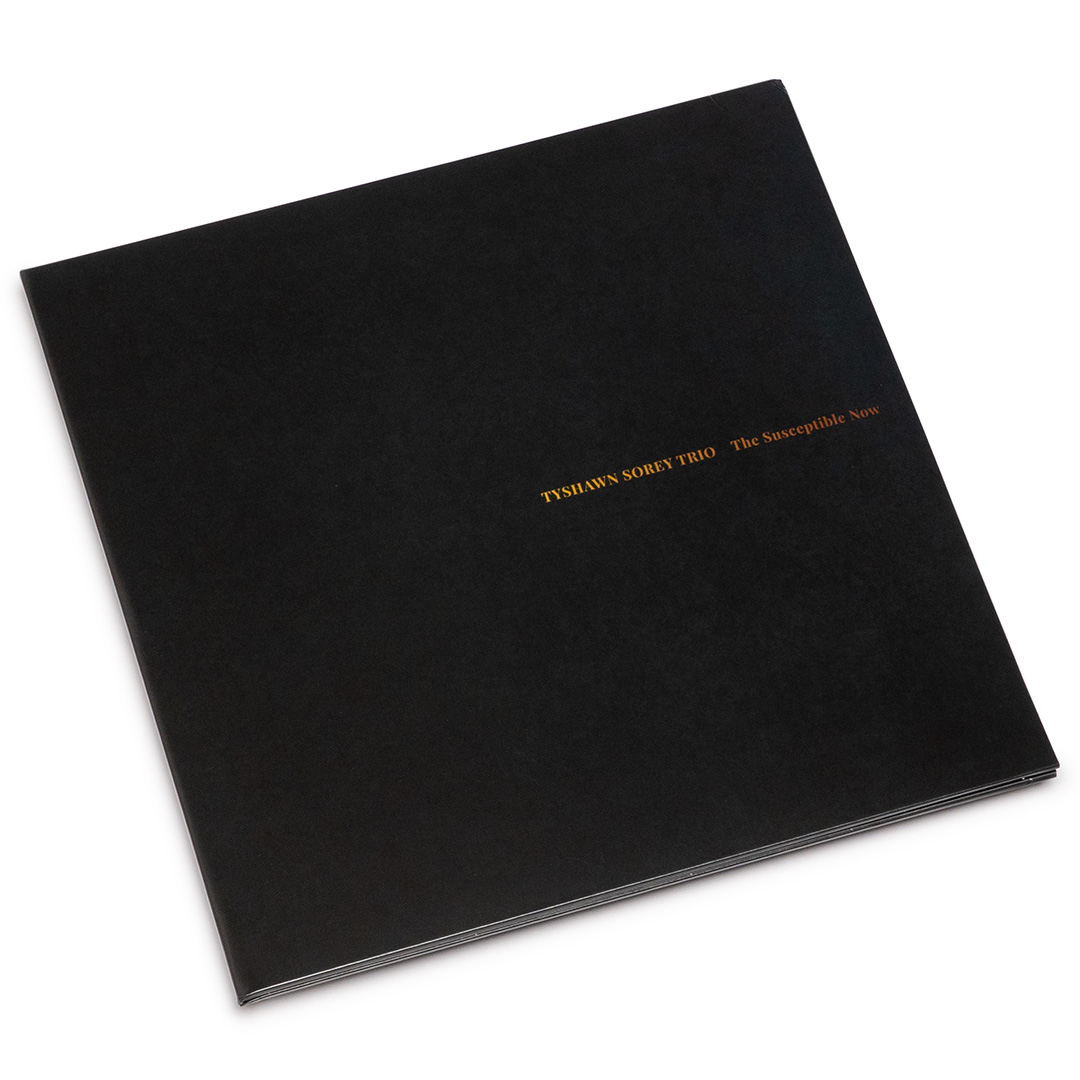 Tyshawn Sorey – The Susceptible Now (2LP) – Soundohm