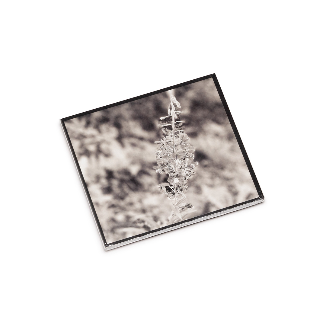 Ashlee Mack – green – Soundohm