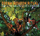 Dream Weapon Ritual – Like A Tree Growing Out Of A Sidewalk – Soundohm