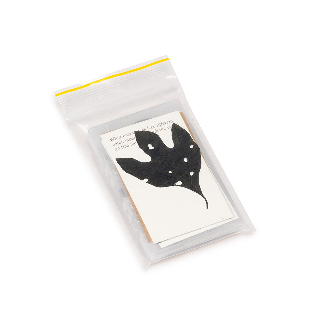 Zander Raymond – Courage Left In A Tree (Tape + Inserts) – Soundohm