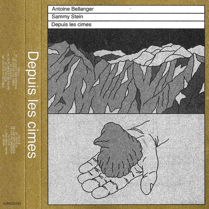 Antoine Bellanger, Sammy Stein – Depuis les cimes (Tape + Zine) – Soundohm