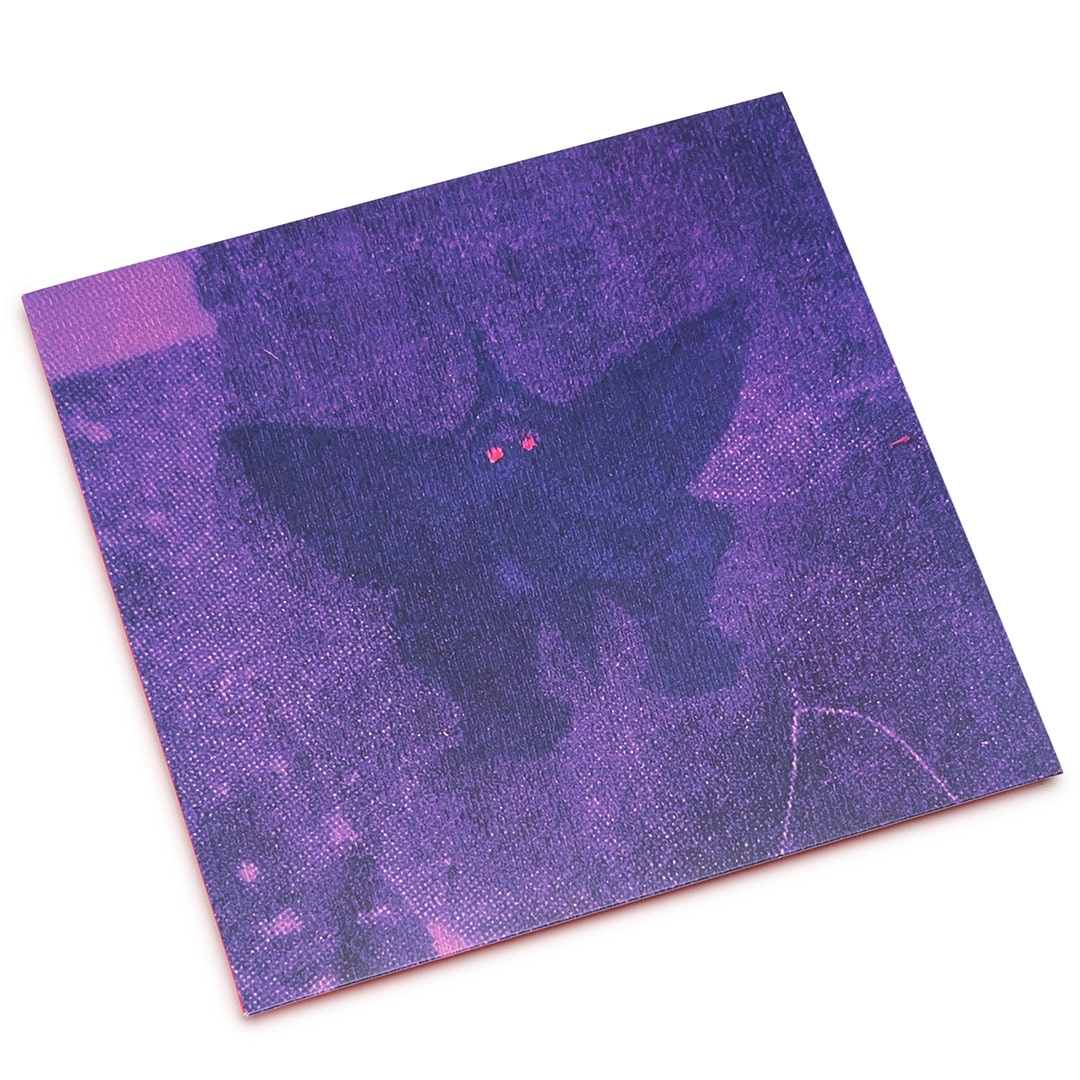 Madronas – Erogenous Biome (LP) – Soundohm