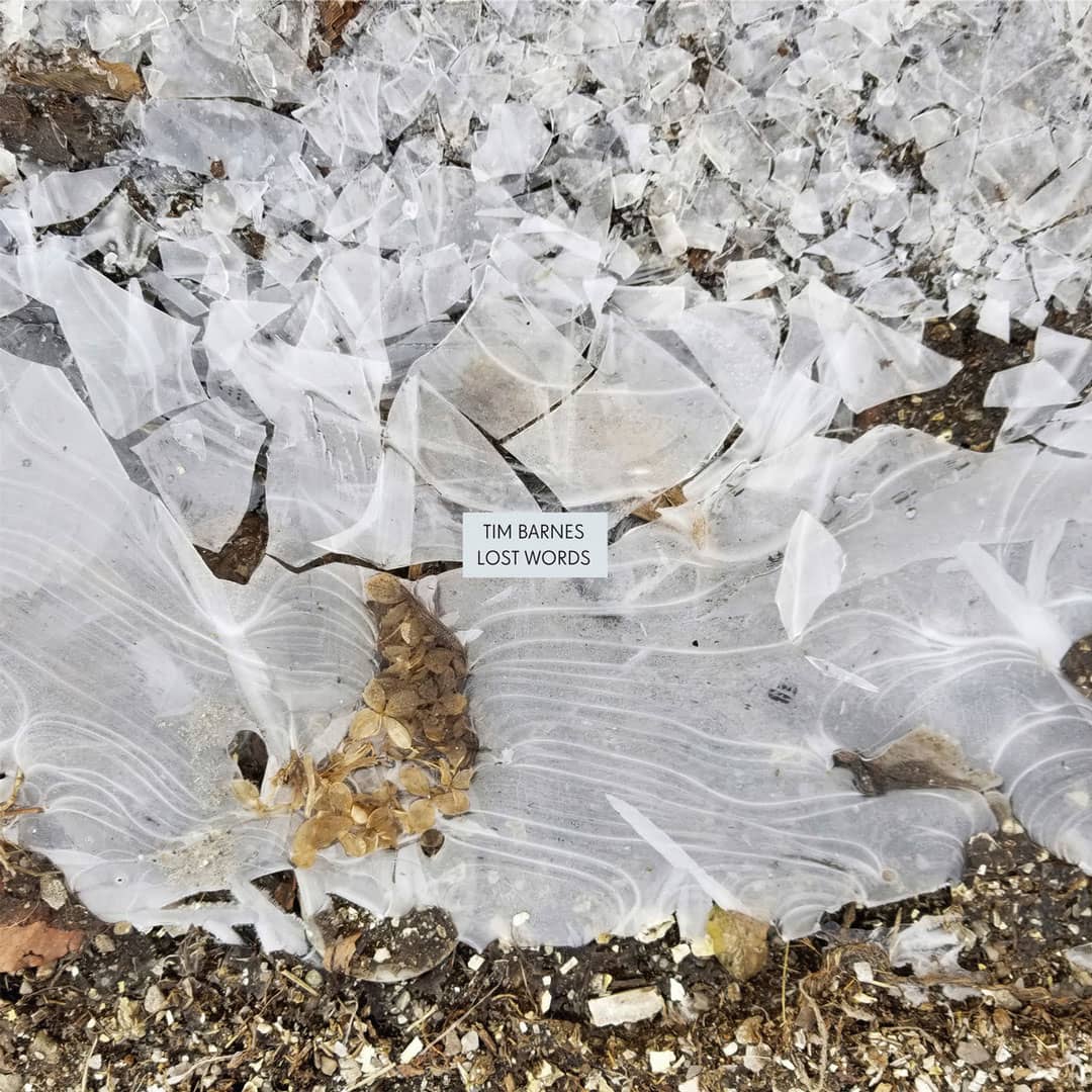 Tim Barnes – Lost Words (LP) – Soundohm