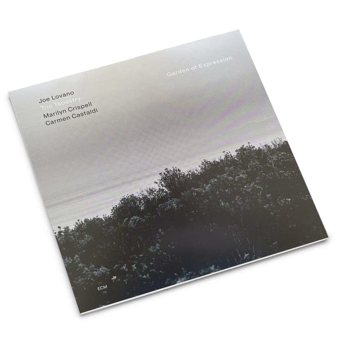 Joe Lovano, Trio Tapestry, Marilyn Crispell, Carmen Castaldi – Garden Of Expression (LP) – Soundohm
