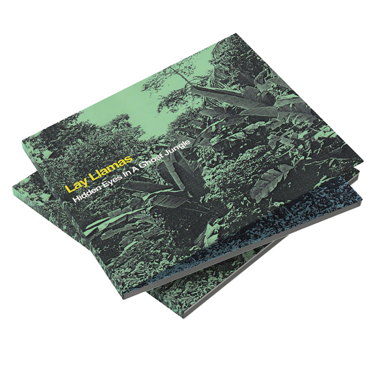 Lay Llamas – Hidden Eyes In A Ghost Jungle – Soundohm