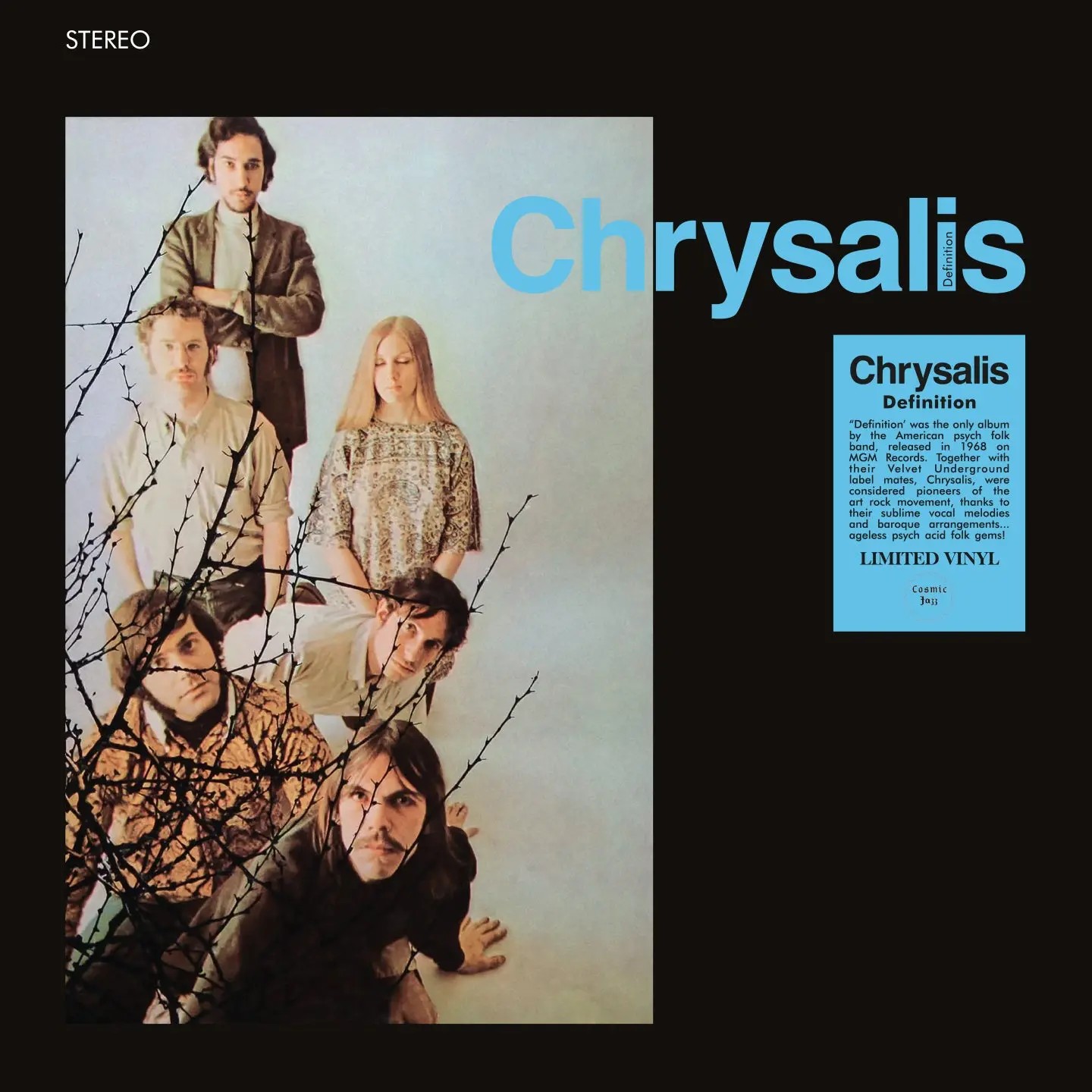 Chrysalis – Definition – Soundohm