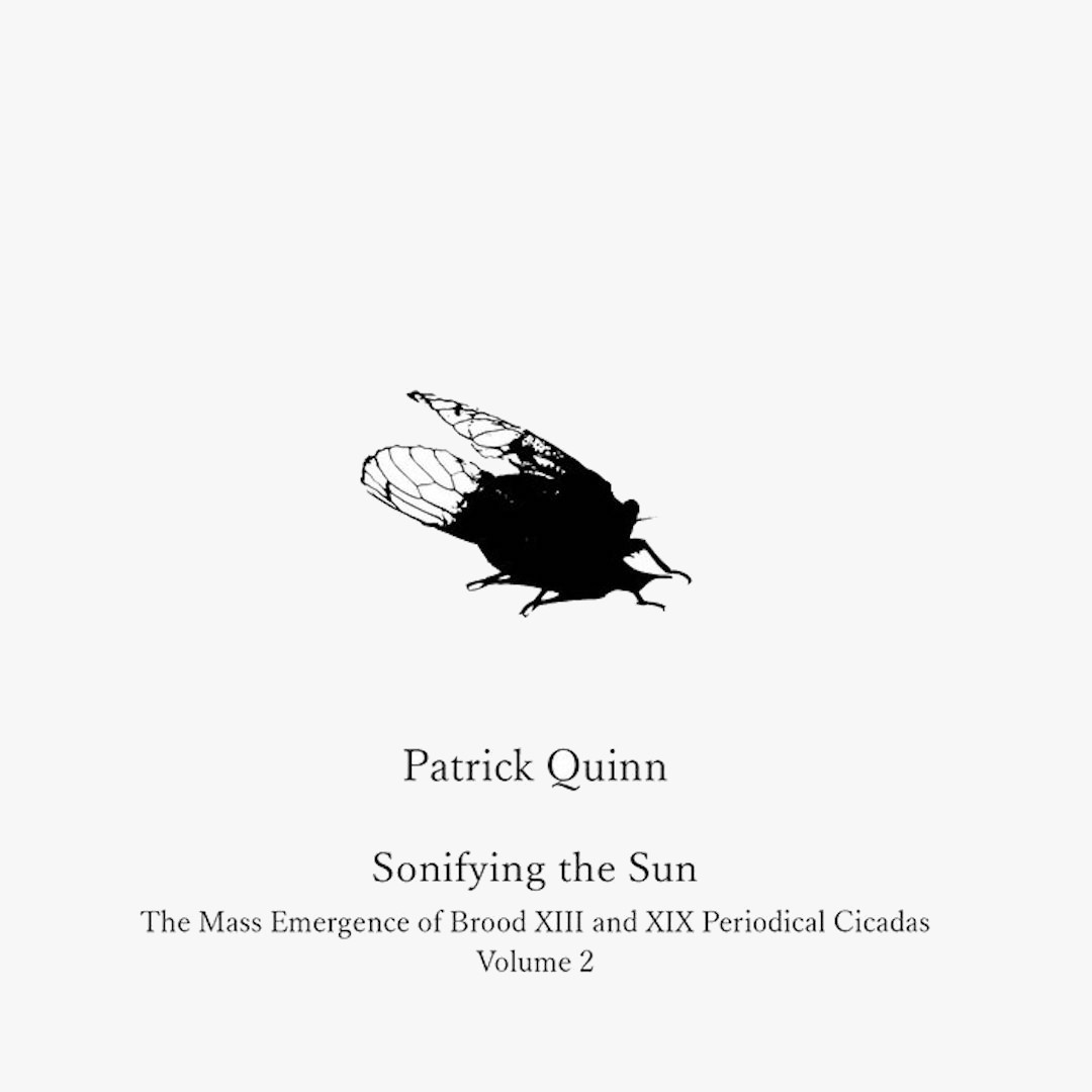 Patrick Quinn – Sonifying the Sun: The Mass Emergence of Brood XIII and ...