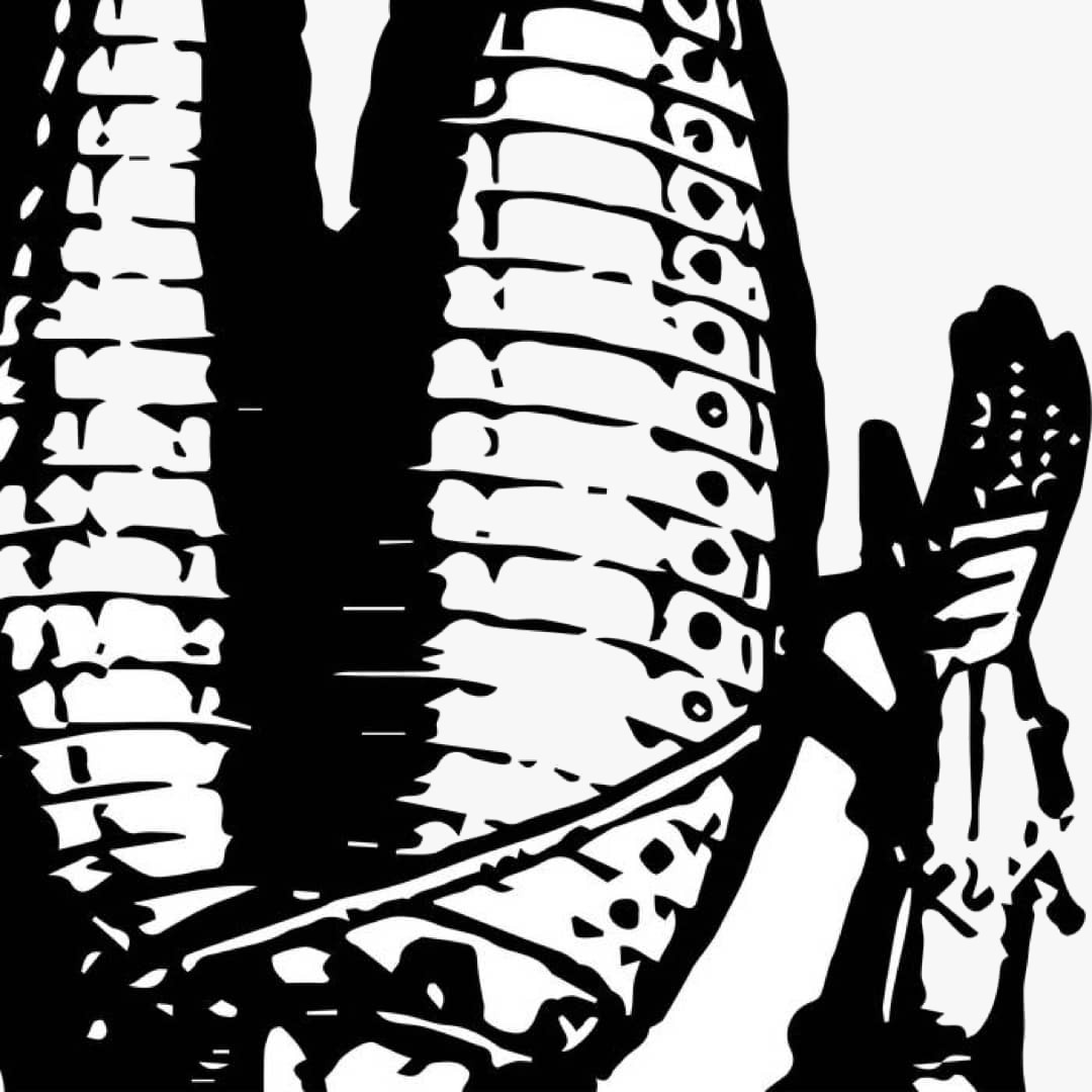 Isabella Gellis – The Dissolute Society Comprised of All Sorts – Soundohm