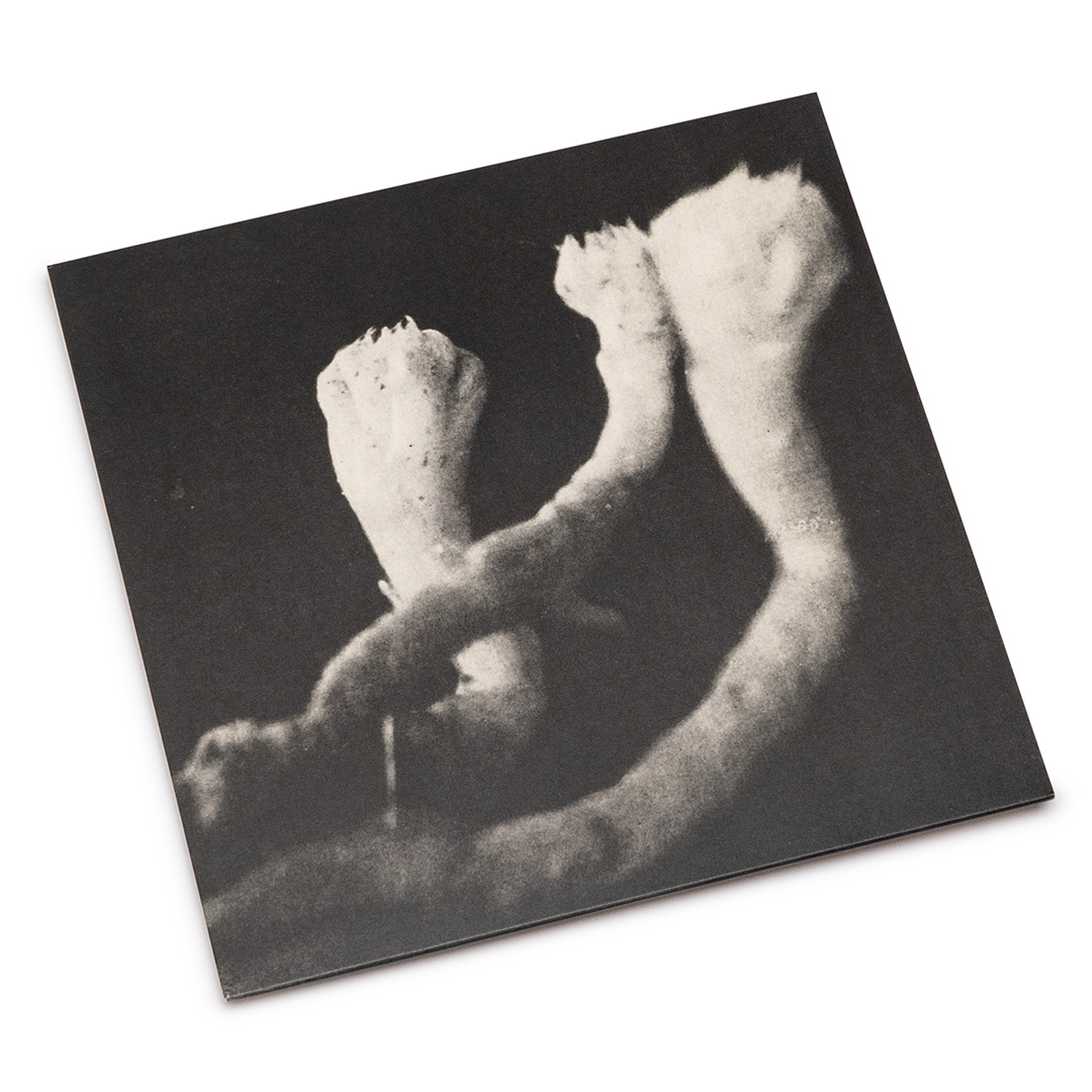 Lauten der Seele – Unterhaltungen mit Larven und Überresten (LP) – Soundohm